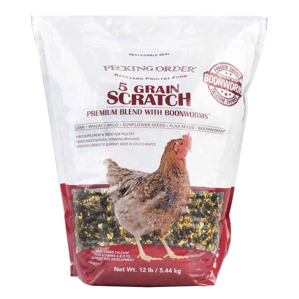 Choosing the Right Chicken Grain Feed For Your Hens - Pet Food Guide