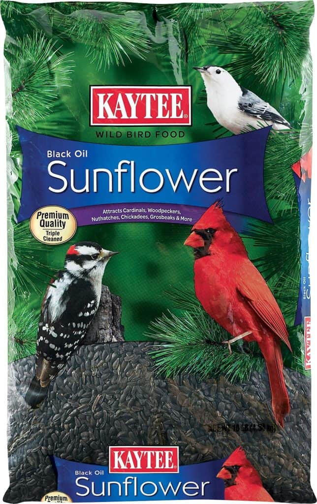 How to Choose Quality Wild Bird Seed - Pet Food Guide