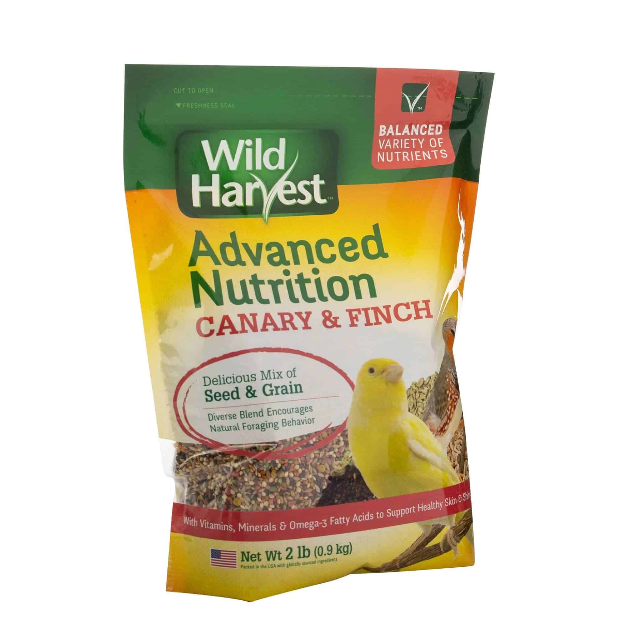 The Best Thing to Feed Wild Ducks - Pet Food Guide