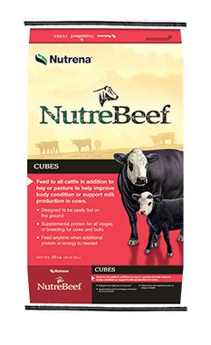 NutreBeef Cattle Breeder Cubes - Pet Food Guide