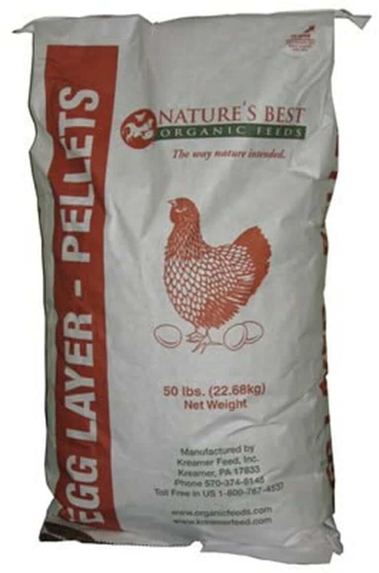 How to Choose the Best Organic Chicken Feed - Pet Food Guide