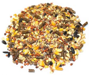 How to Make Your Own Chicken Feed Mix - Pet Food Guide