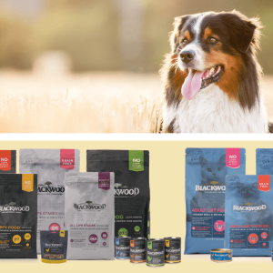 Canary Food List - Pet Food Guide